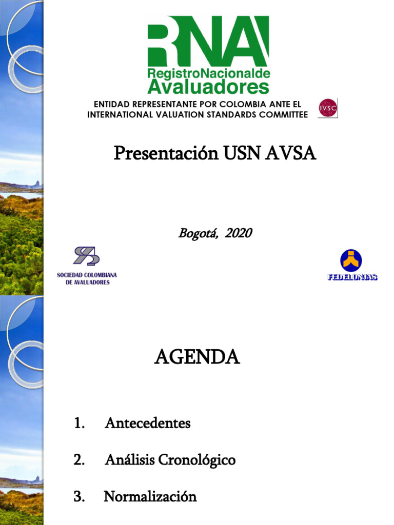 1presentación USN AVSA ESPECIALIZACION | PDF | Valoración (Finanzas ...