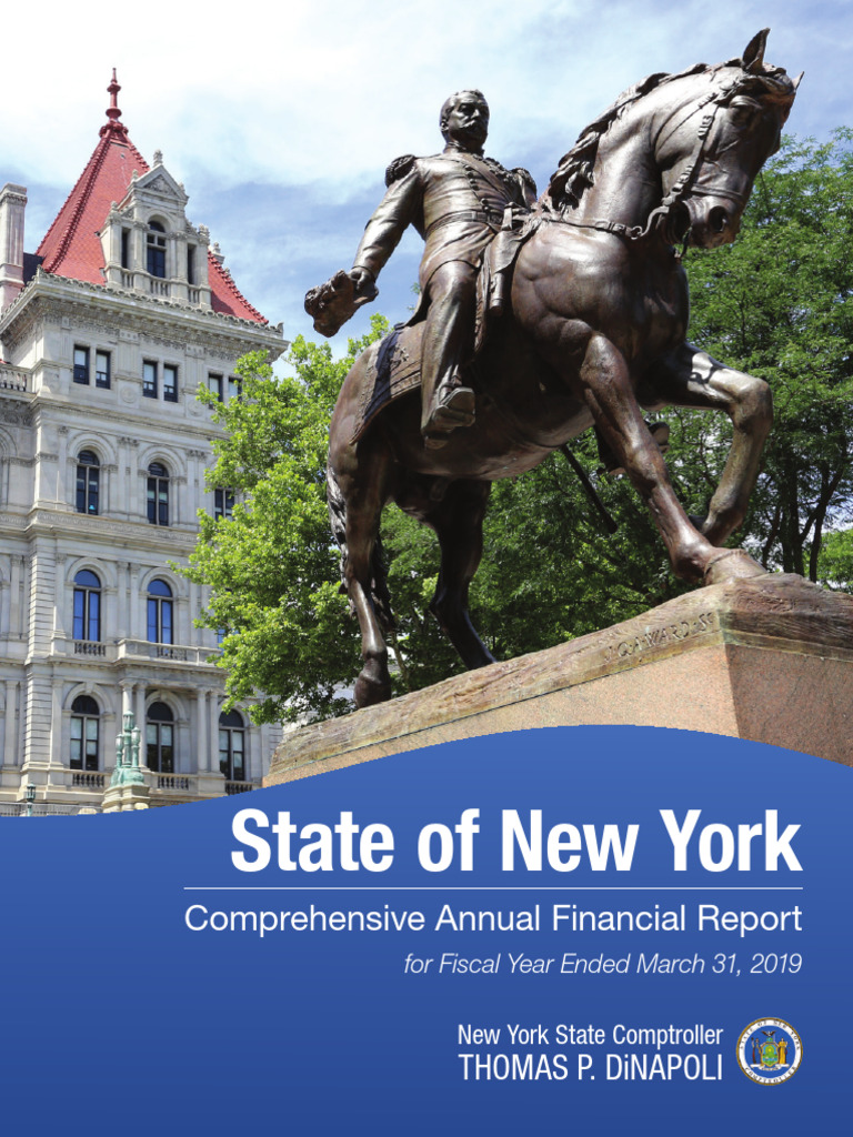Comprehensive Annual Financial Report 2019 | PDF | Audit | Financial ...