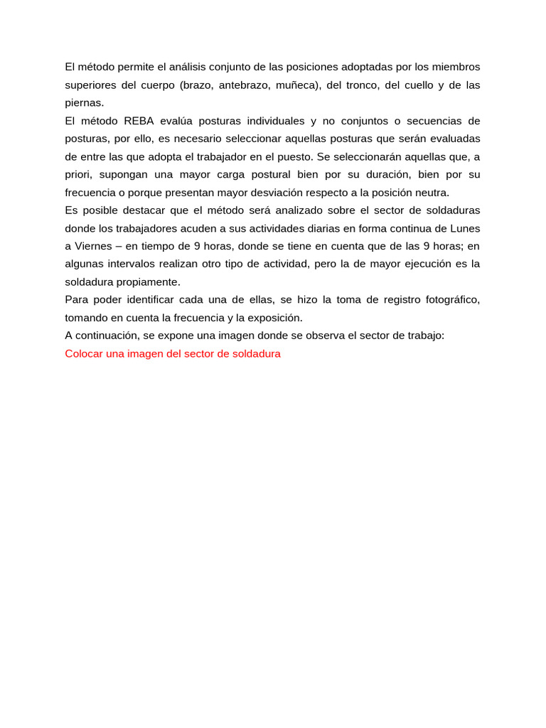 Método REBA | PDF
