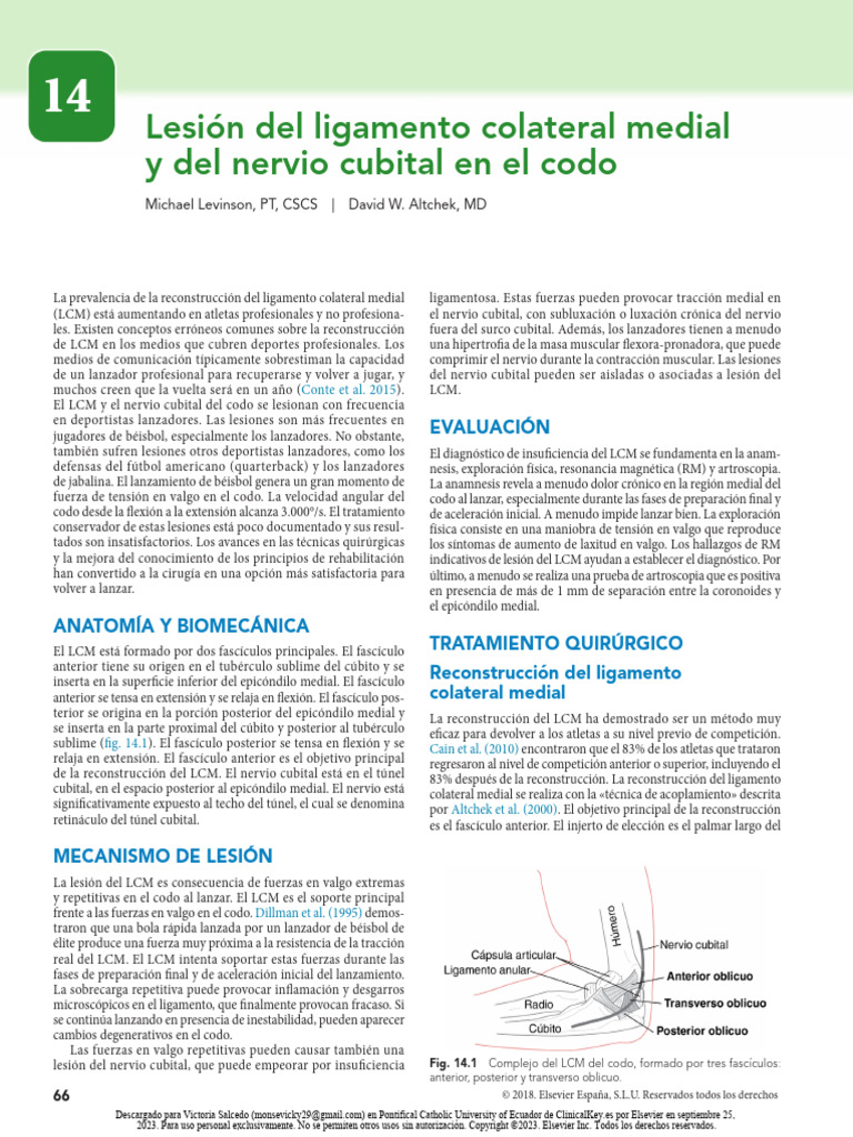 Lesión Del Ligamento Colateral Medial y Nervio Cubital en El Codo | PDF | Codo | Flexibilidad ...
