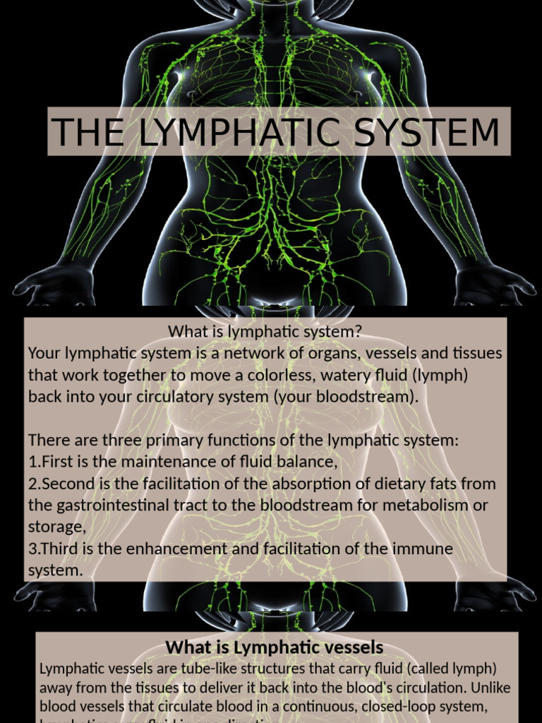 Lymphatic System PPT - 091950 | PDF | Lymphatic System | Lymph