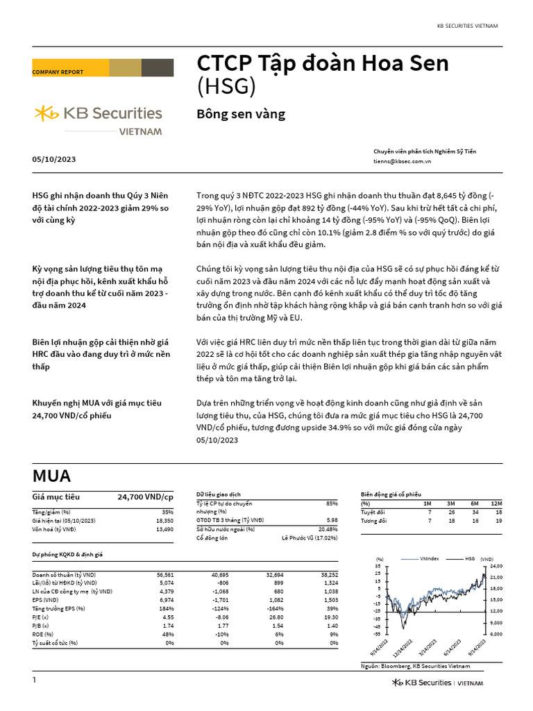 KBSV StockpitchReport HSG | PDF