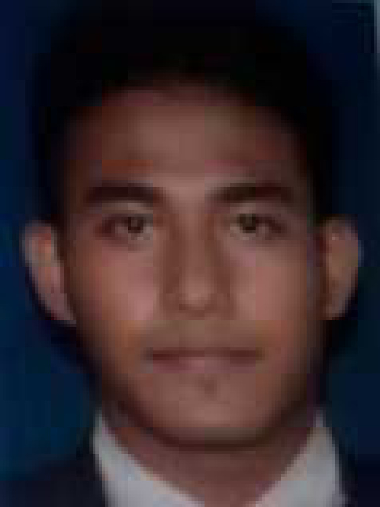 Aripin (Photo) | PDF