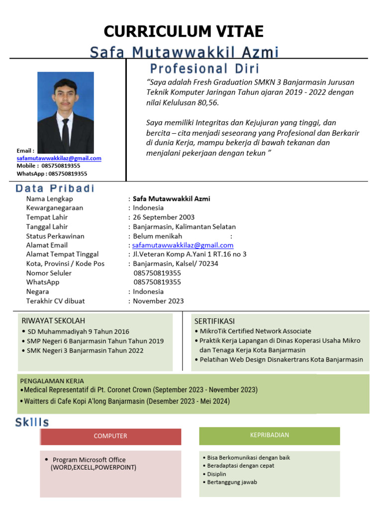 CV Safa Compressed | PDF