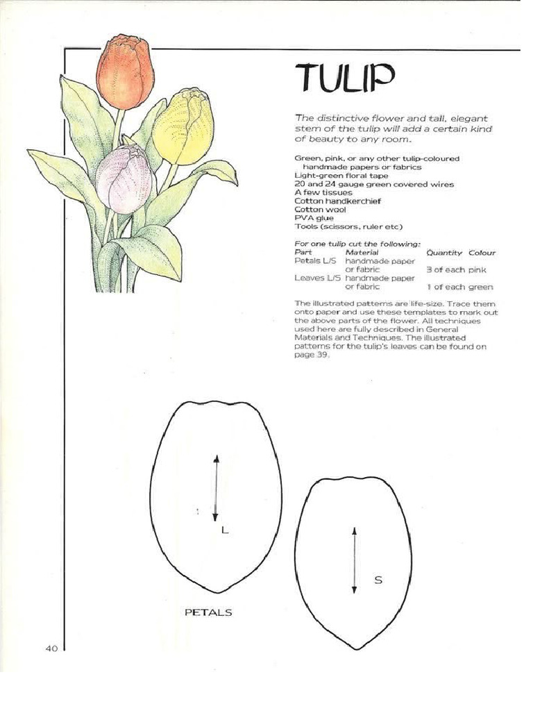 TULIP | PDF