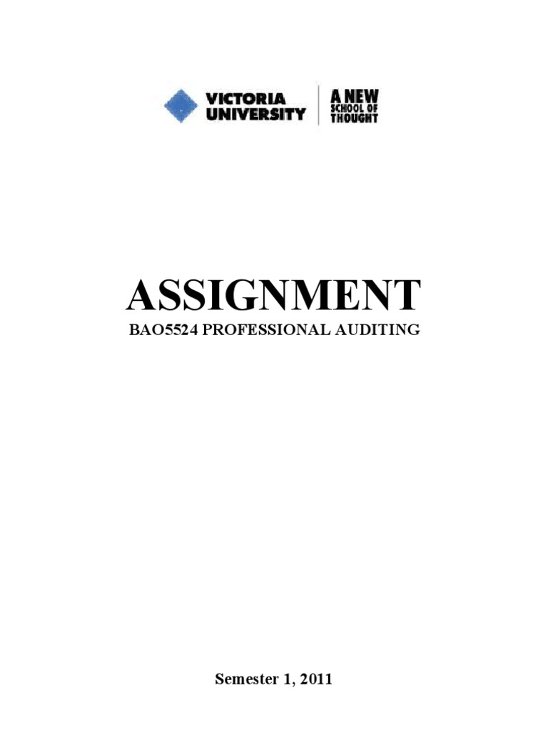 Assignment: Bao5524 Professional Auditing | PDF | Audit | Financial Audit