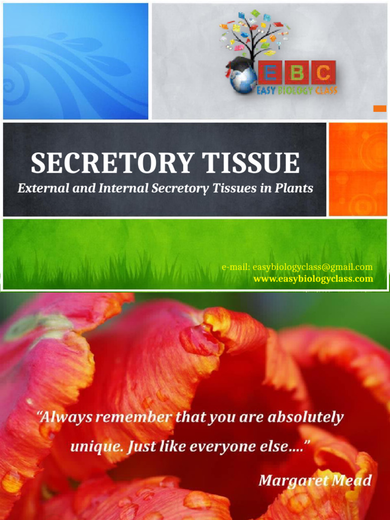 Plant Secretory Tissues Explained | PDF | Technology & Engineering