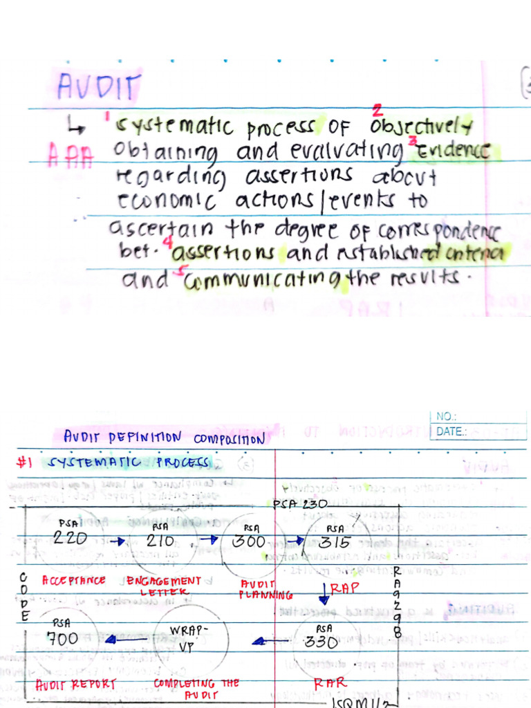 Aud Cis Module 2 | PDF