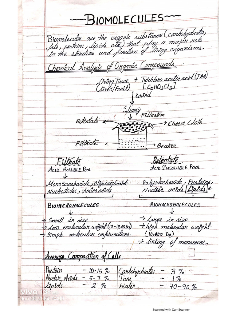 Class 11th Bio Molecules | PDF