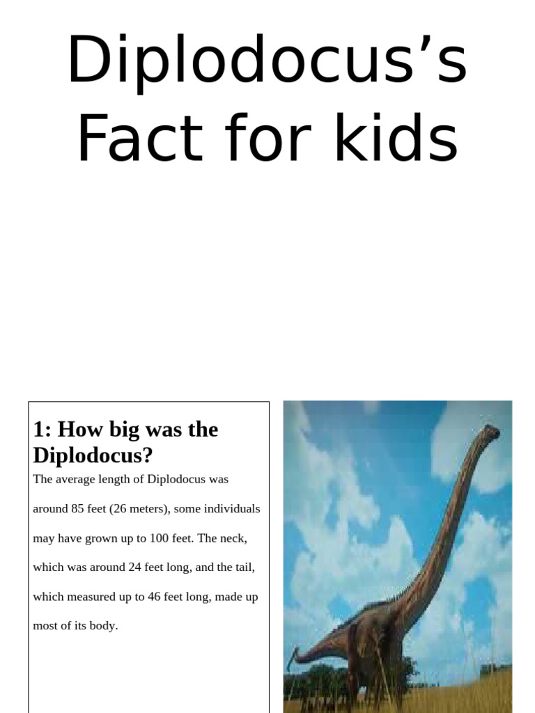 Display Chart of Diplodocus | PDF | Dinosaurs | Paleontology