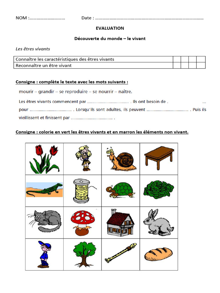 Evaluation Les Etres Vivants CE1 P5 | PDF | Études des langues ...