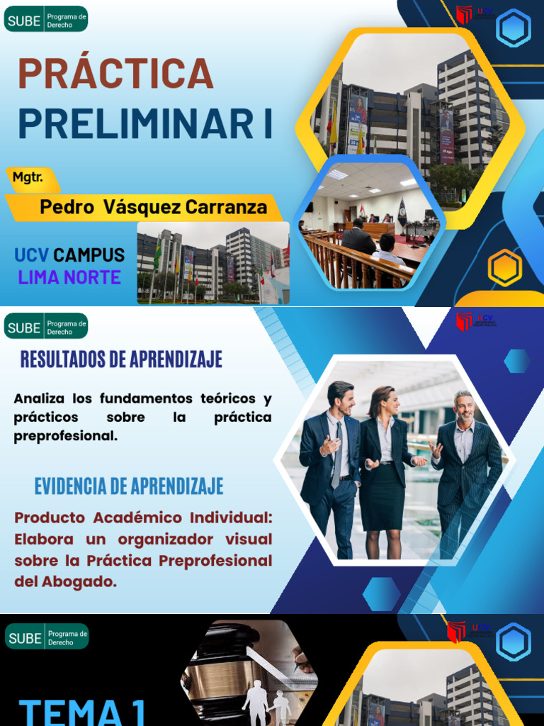 Importancia de la Práctica Preprofesional | PDF | Abogado | Juez