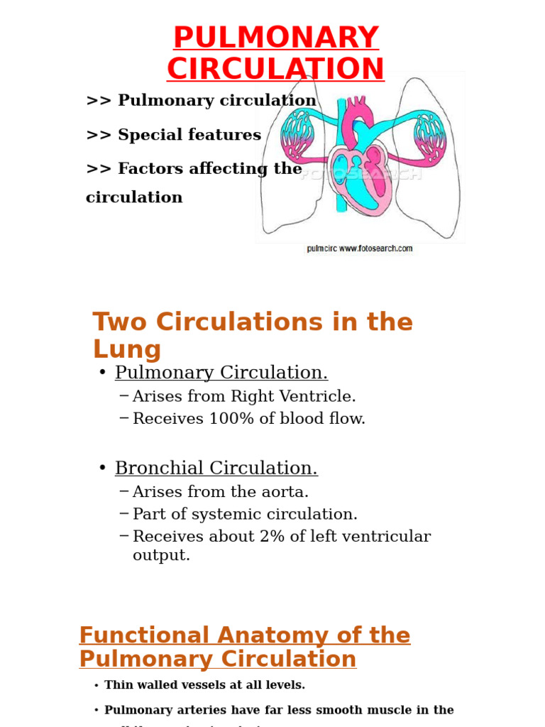 Pulmonary Circulation1 | PDF | Blood Vessel | Artery