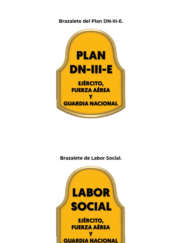 Brazalete y Lona del Plan DN-III-E | PDF | Ciencias sociales | Viajes y ...