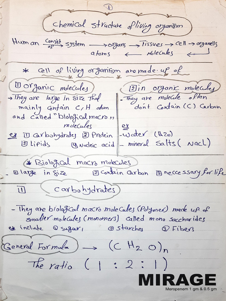 Carbs & Lipids | PDF
