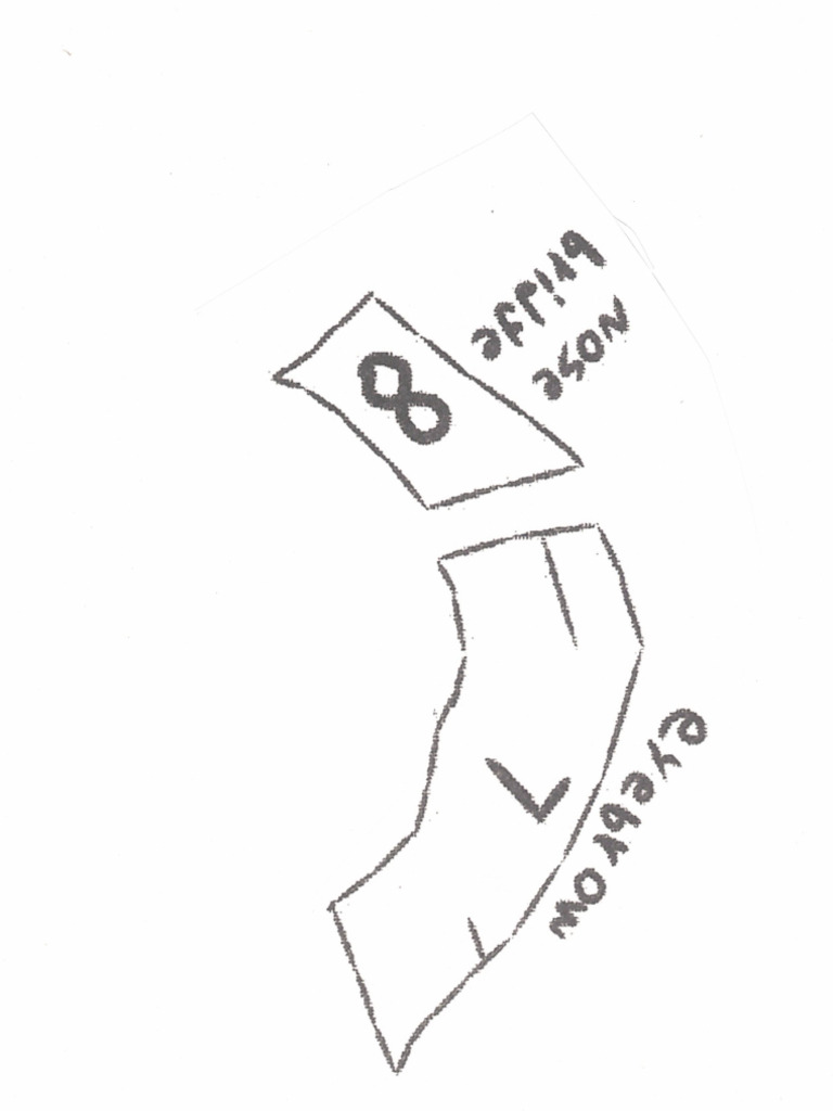 8, 7 (Nose Bridge & Eyebrow) | PDF