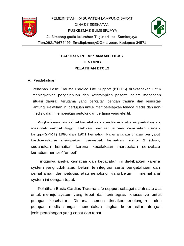 Laporan Kegitan BTCLS Elly | PDF