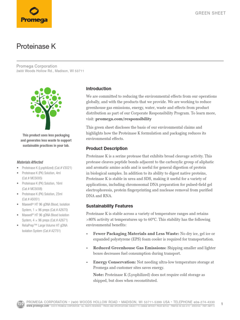 Proteinase K Green Sheet | PDF | Protease | Biochemistry