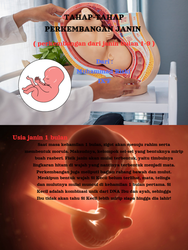 (Tugas 3 Perkembangan Pada Janin) Muhammad Riski IX'F | PDF | Gaya Hidup