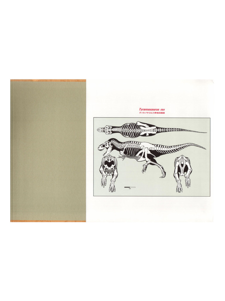 The Complete Ilustrated Guide To Dinosaur Skeletons - Parte 5 | PDF