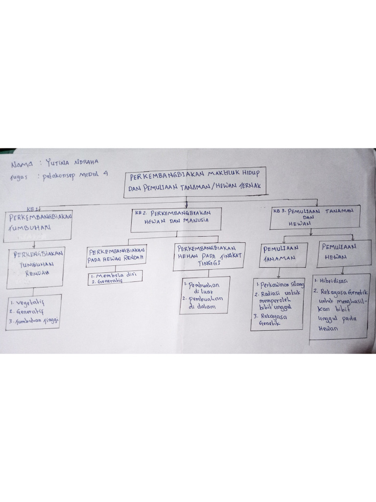 Petakonsep Modul 4,5 | PDF