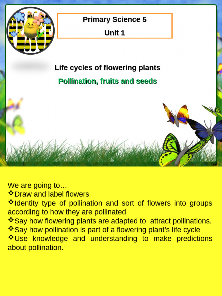 Life Cycle of Flower L1.2 | PDF | Flowers | Pollination