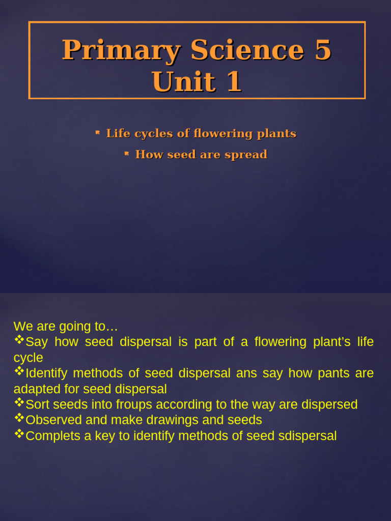 Life Cycle of Flower L1.3 | PDF