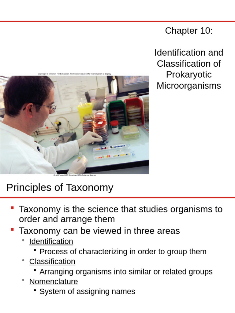 Chapter 10 Classification of Microorganisms-1 | PDF | Taxonomy (Biology) | Dna Sequencing