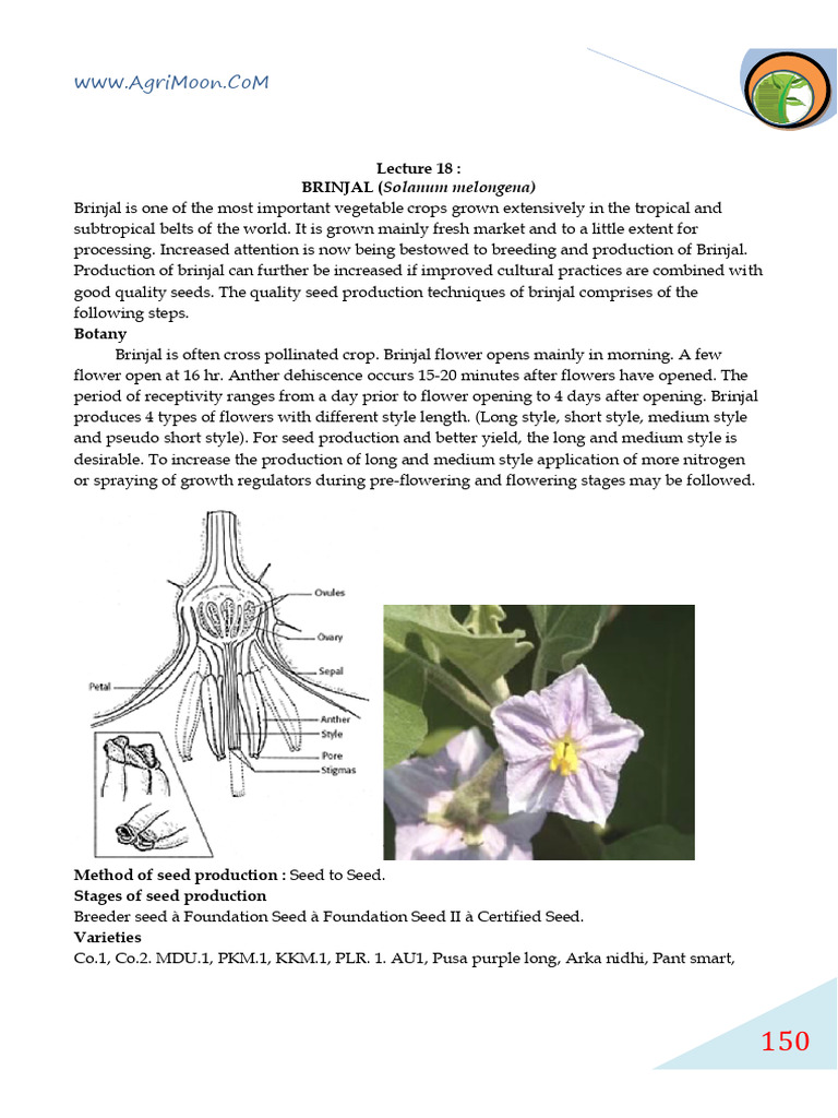 Lec 8 | PDF | Plant Nursery | Seed