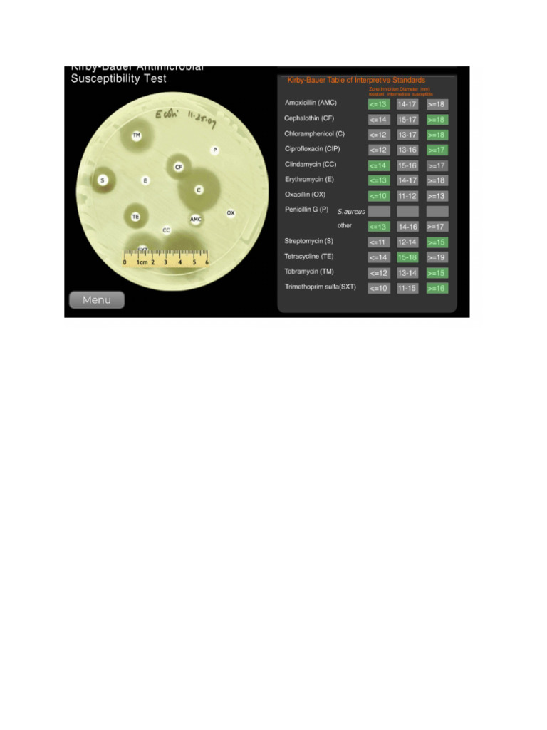 Mayamba KevinC17 | PDF