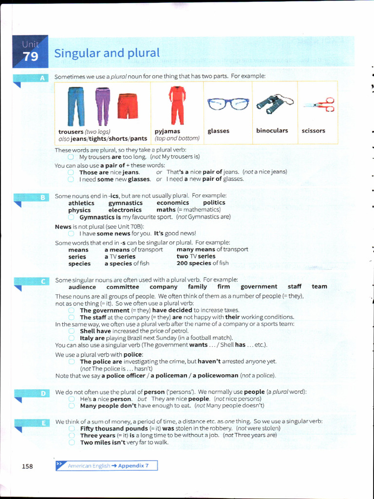 Unit 79 - Singular and Plural | PDF