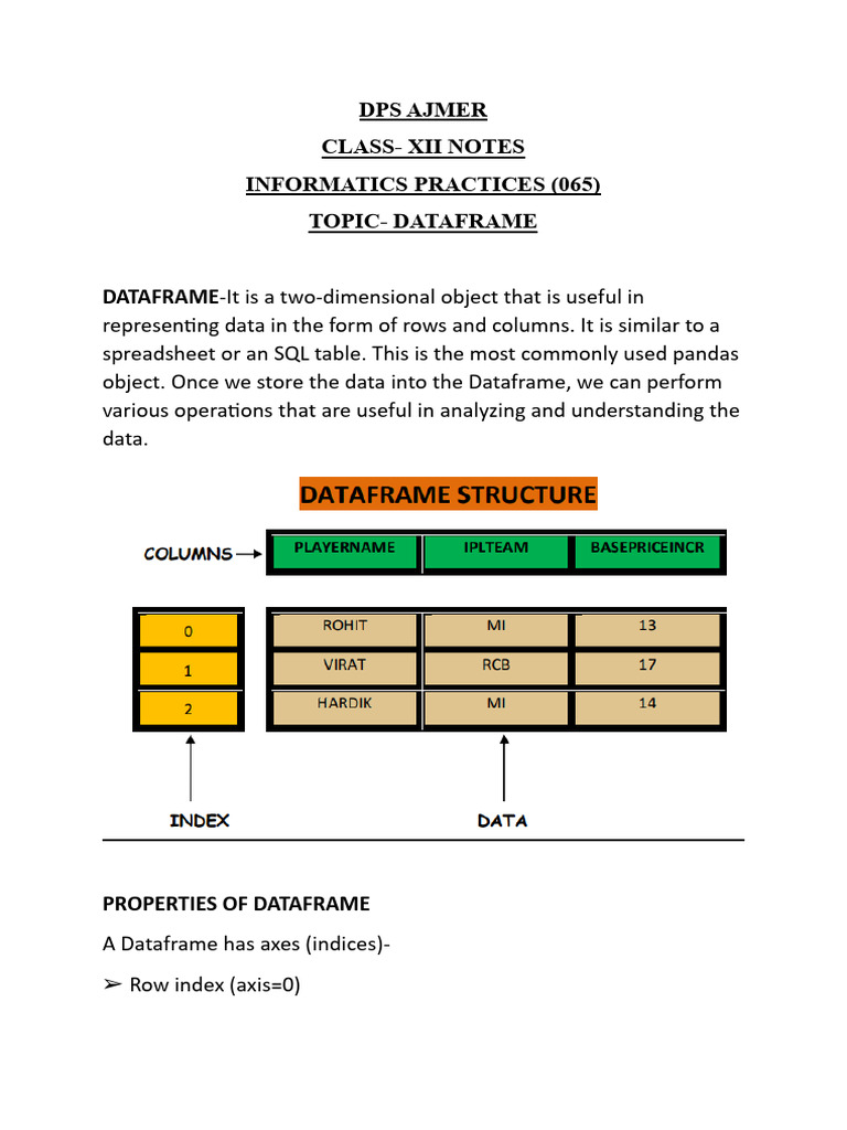 Class X11 Dataframe Notes PDF | PDF | Comma Separated Values | Computer ...
