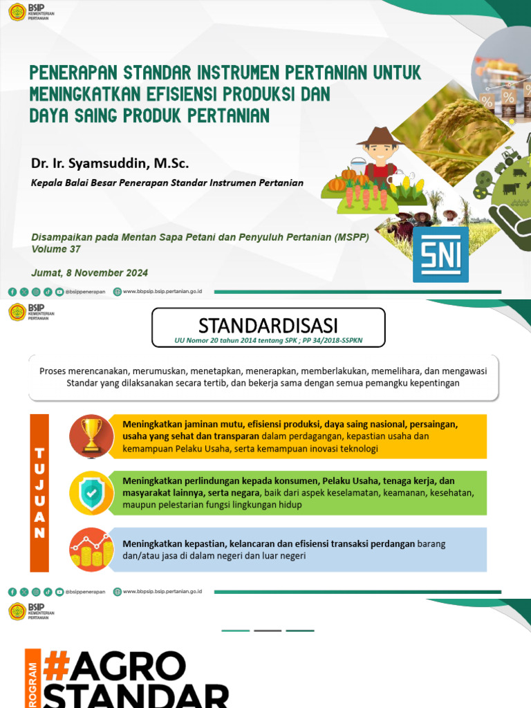 MSPP - Penerapan Standar | PDF