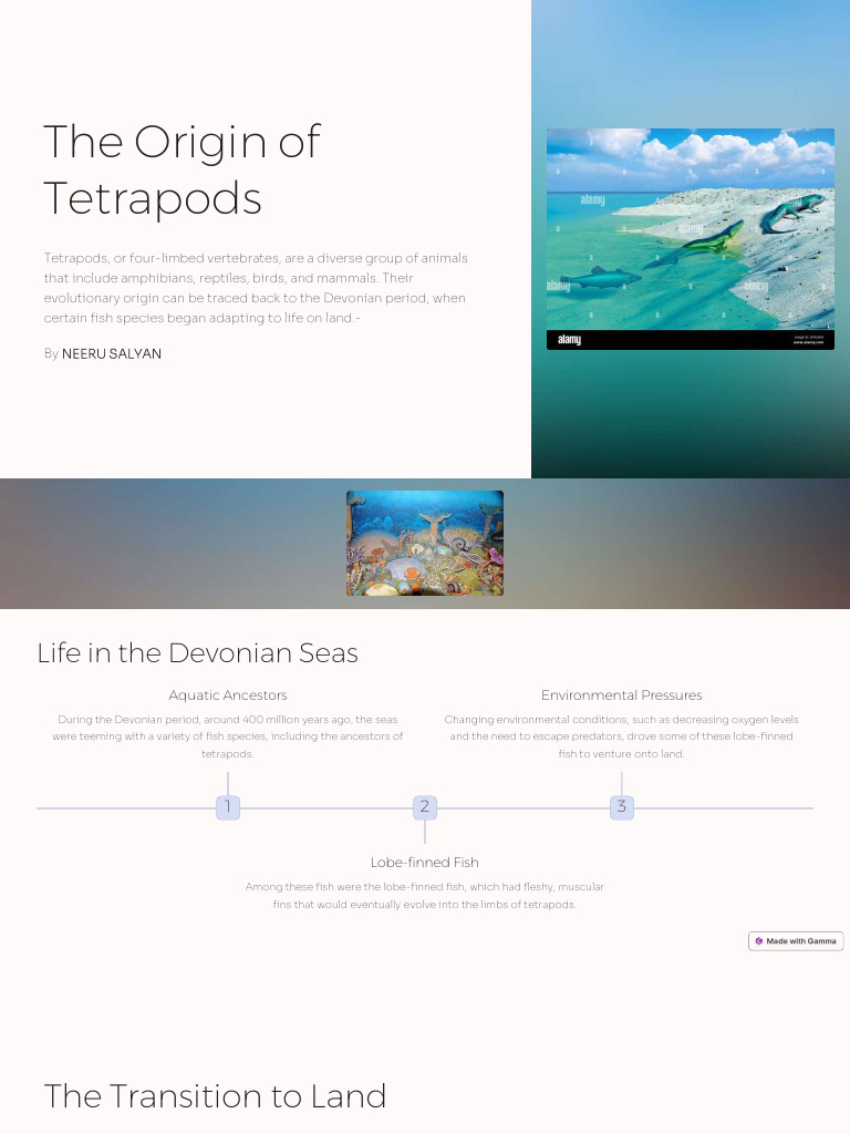 The Origin of Tetrapods | PDF | Amphibian | Zoology