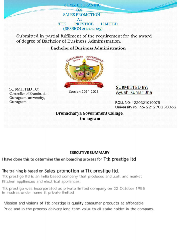 Summer Training Report | PDF