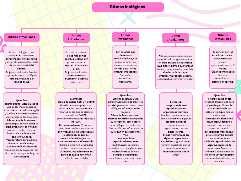 Ritmos Biológicos | PDF | Ritmo circadiano | Movimiento rápido del ojo ...