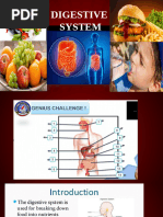 Digestive System PPT | PDF | Digestion | Human Digestive System