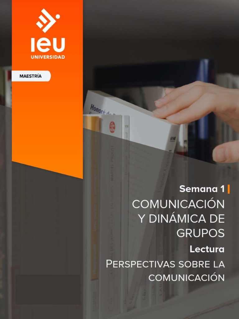 Perspectivas sobre Comunicación Eficaz | PDF | Comunicación ...