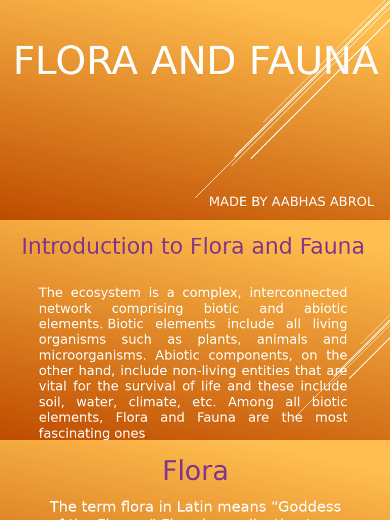 Flora and Fauna | PDF