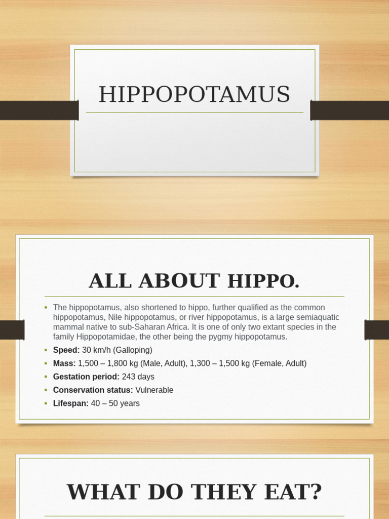 Facts About Hippopotamus Habitat & Diet | PDF | Technology & Engineering
