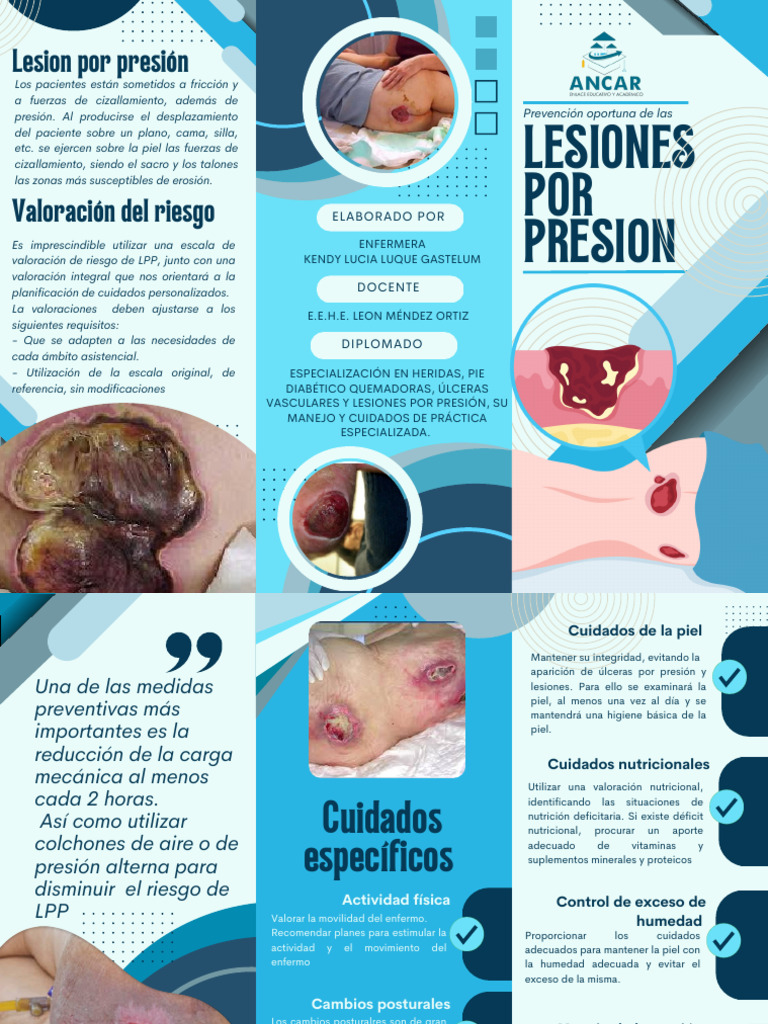 Lesión Por Presion PDF | PDF | Nutrición | Dieta y nutrición