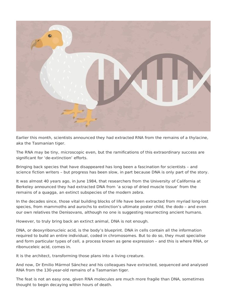 Scientists Just Made A Huge Leap Forward in Bringing Animals Back From ...