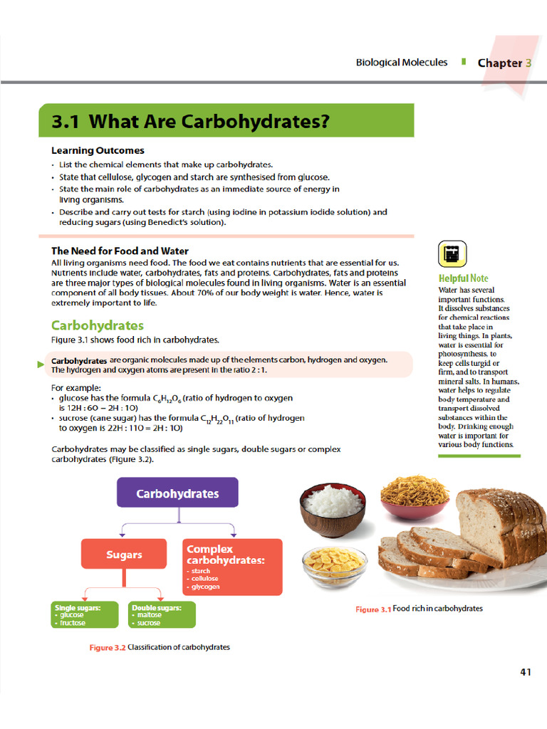 Carbohydrates Reading Text | PDF
