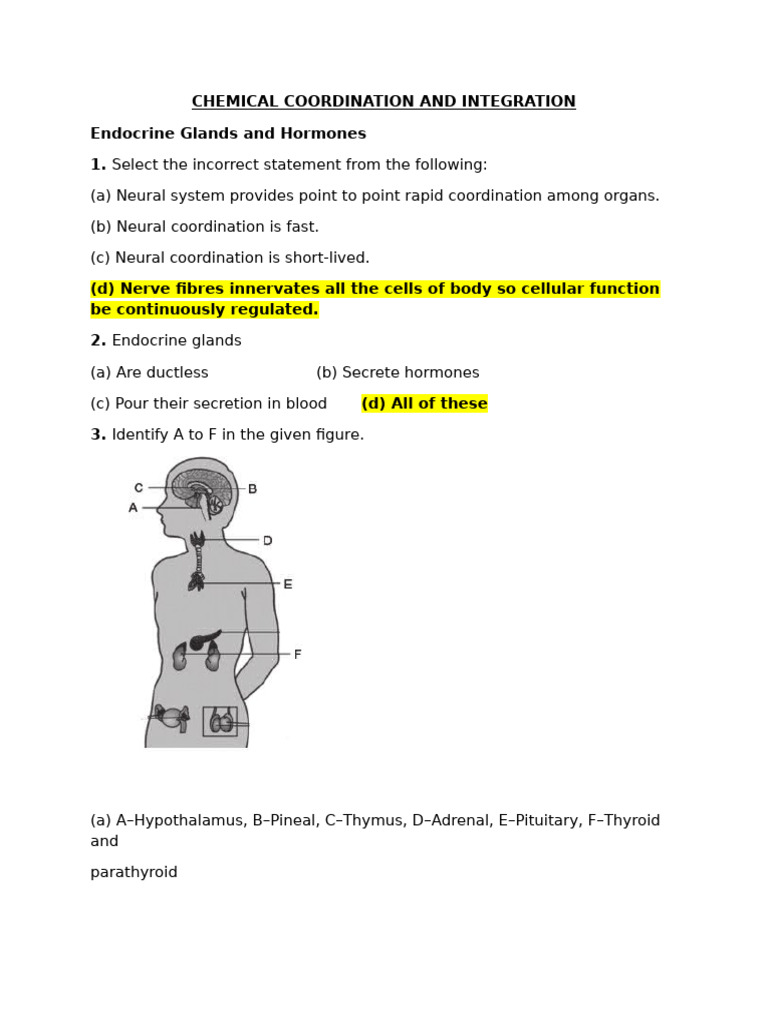 Endocrine Glands and Hormones-Assignment | PDF | Endocrine System ...