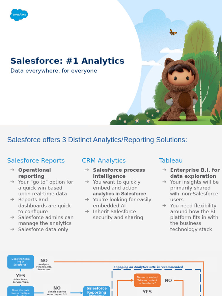 CRMA Classic Reporting Comparison 2 | PDF | Customer Relationship Management | Analytics
