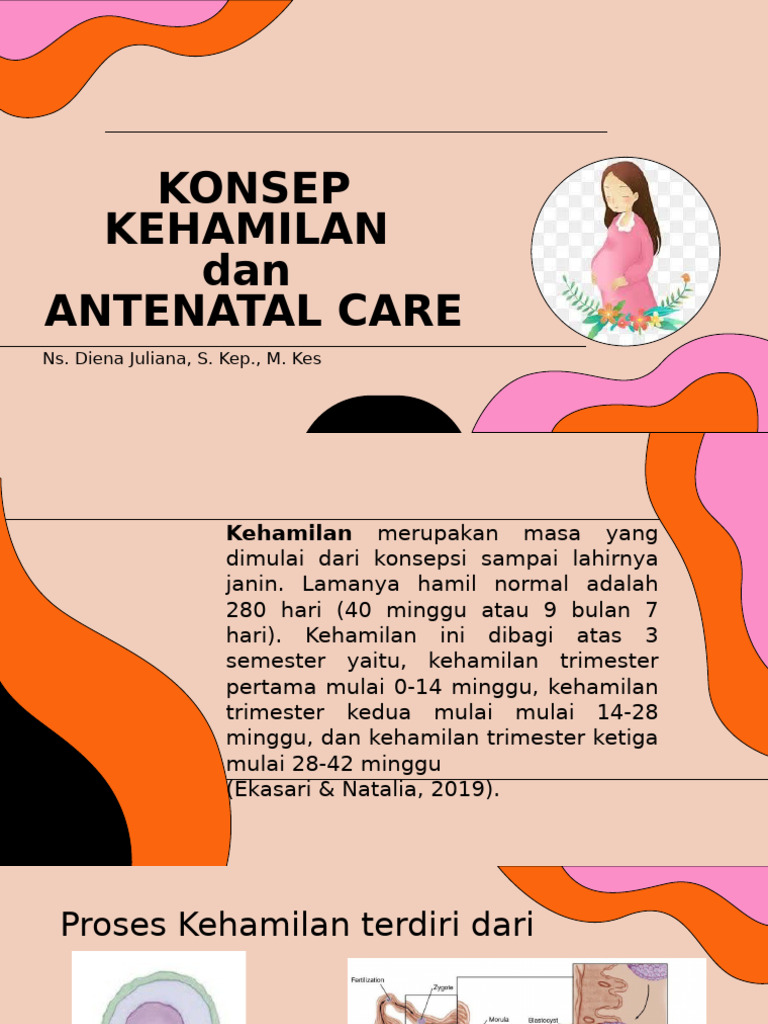 Konsep Kehamilan Dan ANC | PDF