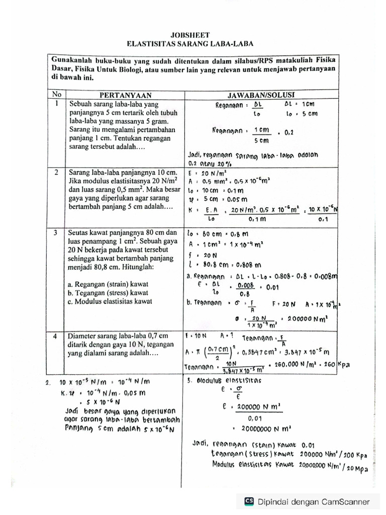 Elastisitas Sarang Laba-Laba | PDF