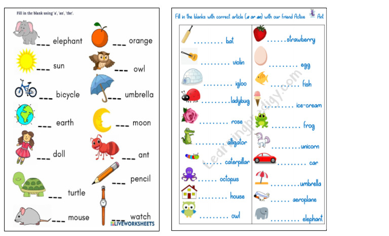 A or An Worksheet FF1 Unit 9 | PDF