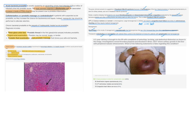 Finalised BTR Book 3 | PDF