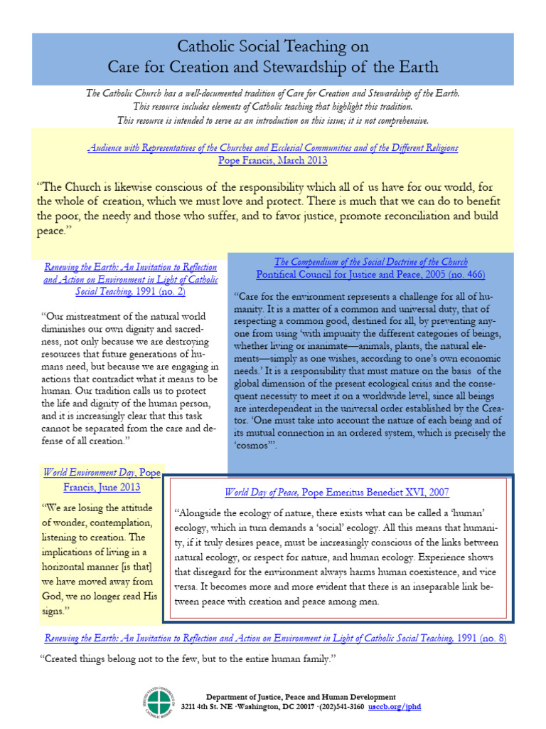 Environmental Primer | PDF | Catholic Social Teaching | Catholic Church